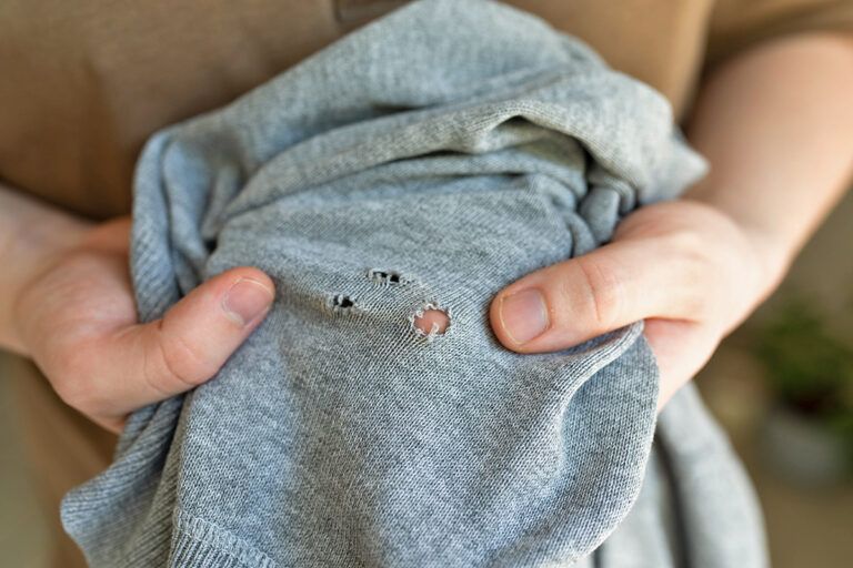 6 Early Warning Signs of a Pest Problem Most People Miss - House Outlook